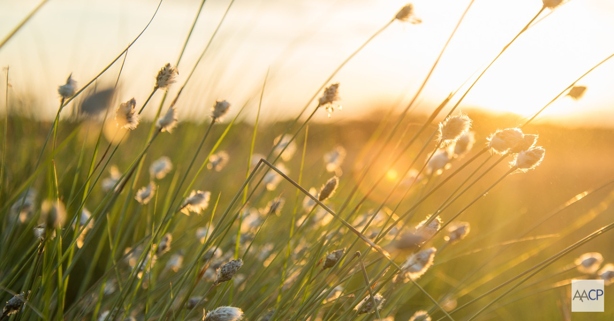 Coping with Constant Connectivity | AACP